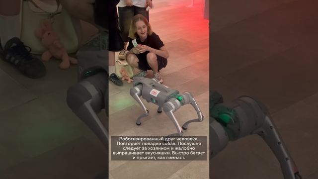 🤖 Новая экспозиция робостанции в Москве