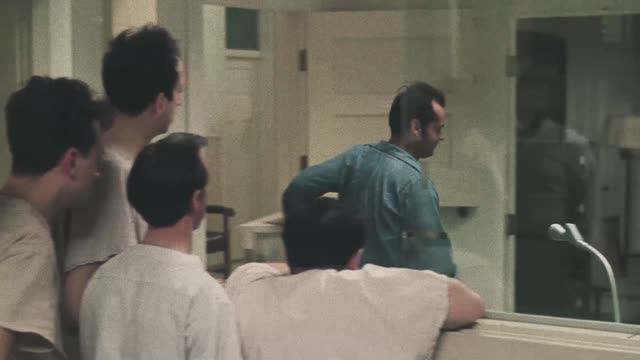 Again — Black Brown Fox