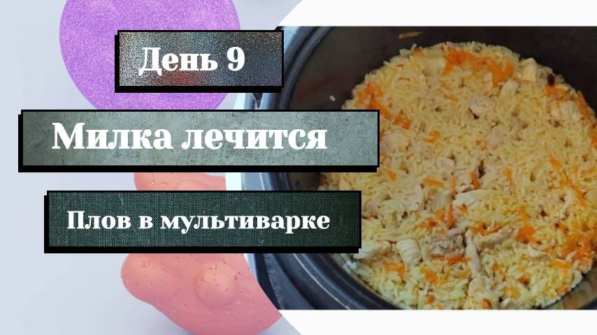 Питаемся на 500 рублей в день. Кошке Милке назначили лечение. Готовлю плов в мультиварке. 01.07.2025