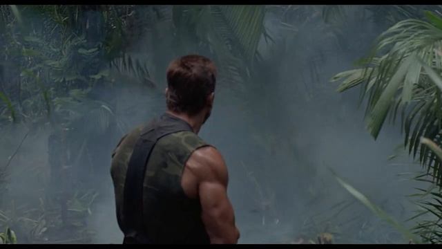 Пушистые береты. Хищник - Серая шейка ! HD