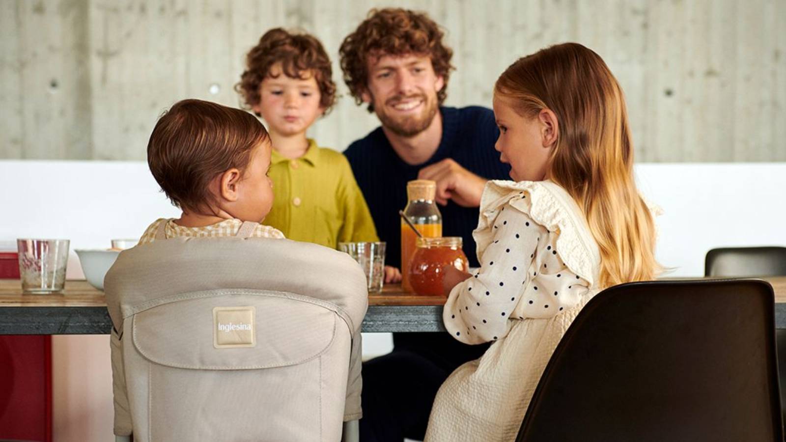 Подвесной стульчик Inglesina My Time.