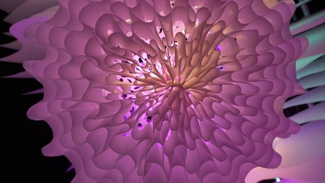 Aquamorph Light вид снизу