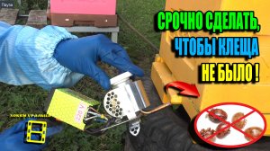 БЕЗОПАСНАЯ, НО ЭФФЕКТИВНАЯ БОРЬБА С КЛЕЩОМ ВАРРОА ЛЕТОМ. ПЧЕЛОВОДСТВО 25-26