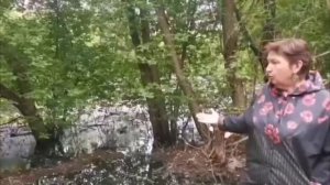 Новости Кирова 02.07.25