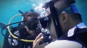 Уникальное предложение только в июле 2025: PADI Rescue Diver
