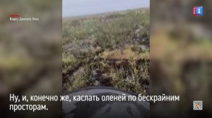 Ох, уж этот северный колорит!