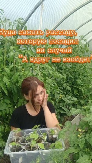 полминутки  юмора 🤣