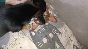 Всем самой доброй ночи и прекрасных снов.
