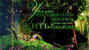 Осенний вечер. кружка чая