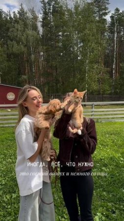Нам так мало нужно для счастья🌿