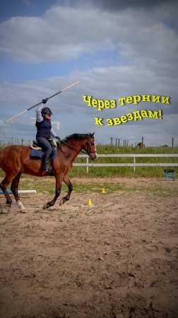 — Мать, что за муха тебя укусила?!