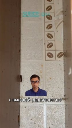 Причины появления тараканов в квартире
