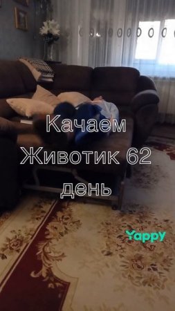 #качаемживот, #пресс, #тренировкаживота, #плэйн, #планка, #кубикипресс, #плоскийживот, #зож, #фитнес