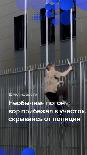 Необычная погоня: вор прибежал в участок, скрываясь от погони