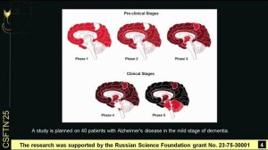 «Технология визуализации шейного лимфатического сосуда у мышей in vivo в реальном времени»