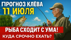 11 ИЮЛЯ — ЗНОЙНЫЙ ДЕНЬ КАК ЛОВИТЬ, КОГДА РЫБА ПРЯЧЕТСЯ ОТ СОЛНЦА