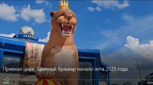 Приехал цирк. Цветной бульвар начало лета 2025 года.