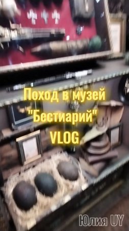 Музей "Бестиарий" | ВЛОГ 🔮#юлияuy #бестиарий #музей #влог #блогер #рек #blogger #vlog #museum