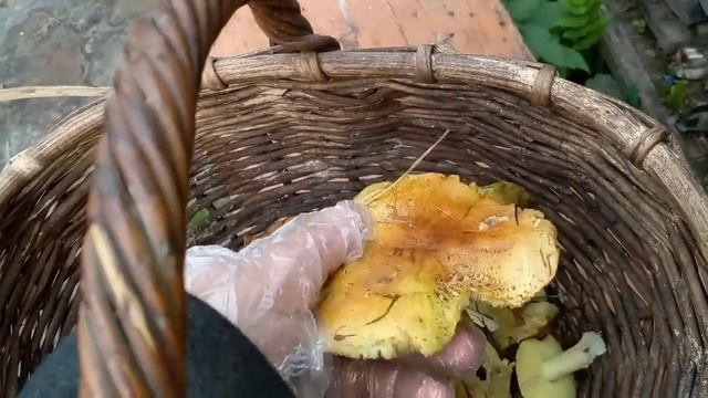 Боже мой, что - уже ВСЕ??!