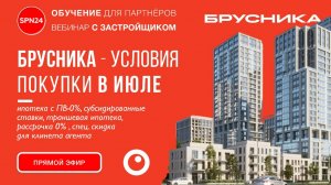 БРУСНИКА - ипотека, рассрочка и другие инструменты продаж в июле