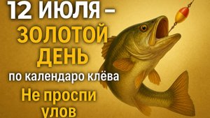 12 ИЮЛЯ — ДЕНЬ ПОСЛЕ ЖАРЫ СВЕЖИЙ ВЕТЕР, ВОДА ОХЛАЖДАЕТСЯ — КЛЁВ МЕНЯЕТСЯ НА ГЛАЗАХ