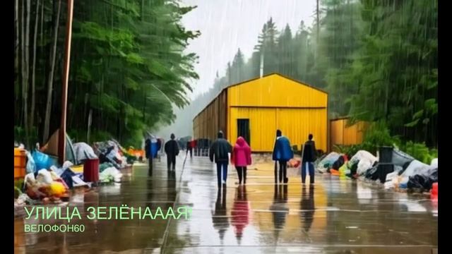 Улица Зелёнааая!