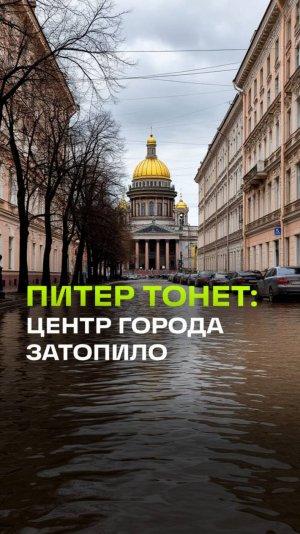 Вода начала заливать центральные мостовые в Питере