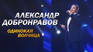 Александр Добронравов • Одинокая волчица | Золотые Хиты Германа Витке, 2025