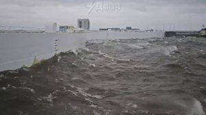 СЕГОДНЯ В САНКТ ПЕТЕРБУРГ