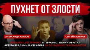 Пухнет от злости. Иноагент, экстремист и террорист Панин обругал актера Владимира Стеклова за осужде
