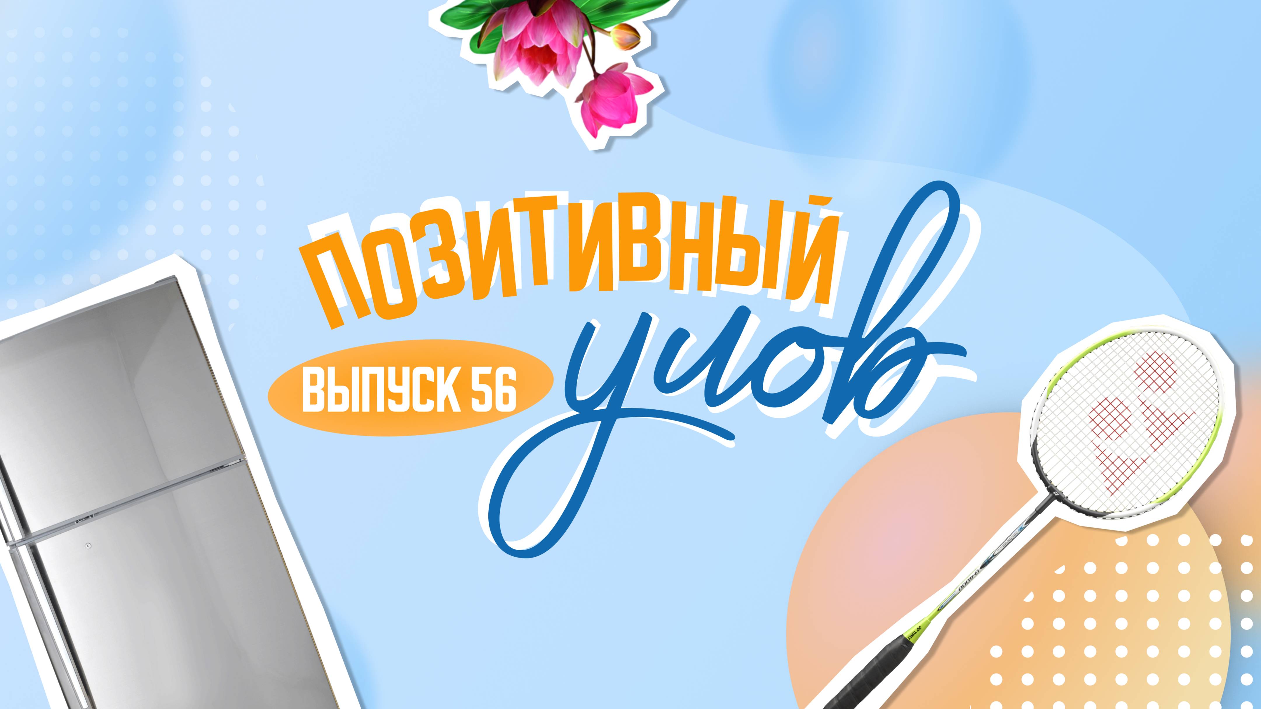 Улица кошек и ручная чайка. "Позитивный улов"