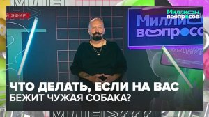 Как выбрать домашнего питомца: советы кинолога|Миллион вопросов — Москва 24|Контент