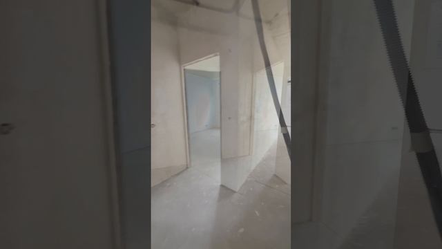 Живи на берегу Финского залива