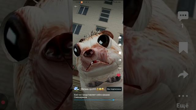 Варя смотрит шорцы