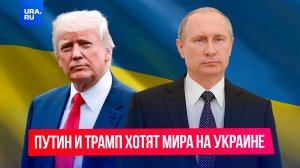 Путин и Трамп решили покончить с конфликтом на Украине