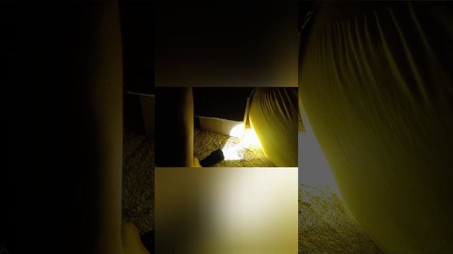 Инубация. День 18. Последнее овоскопирование.