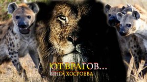 ОТ ВРАГОВ...ДЛЯ ВСЕХ...