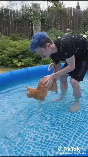 симба