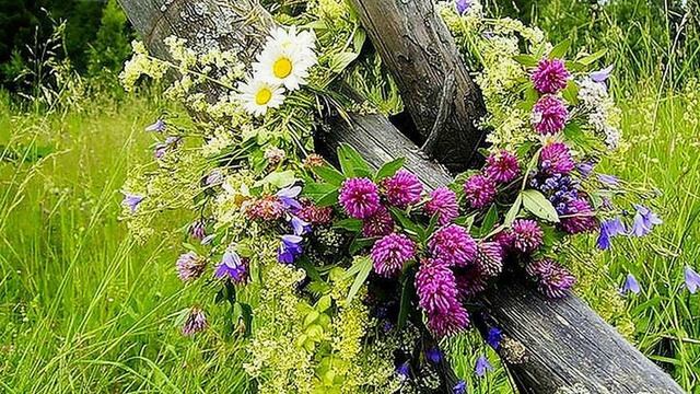 Я свою жизнь превращаю в любовь..