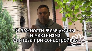 О важности Жемчужины и механизма Синтеза при сонастройках || Школа "ТоЧегоНет"