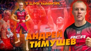 Андрей Тимушев только те, кто не боится больших неудач, смогут достичь большого успеха