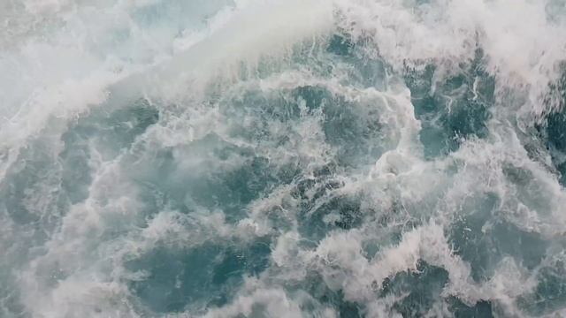 Мишки и Пароход! Видео.