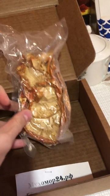 Получил посылку с мухоморами. Теперь с мухами нет проблем! Купить мухомор