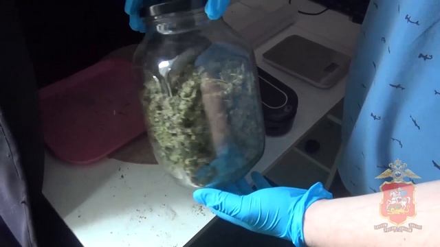 В Дмитрове сотрудники полиции задержали мужчину, который с целью сбыта наркотика выращивал коноплю
