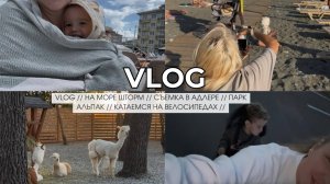 VLOG // НА МОРЕ ШТОРМ // СЪЕМКА В АДЛЕРЕ // ПАРК АЛЬПАК // КАТАЕМСЯ НА ВЕЛОСИПЕДАХ //