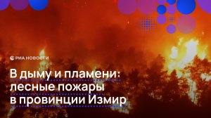 В дыму и пламени: лесные пожары в провинции Измир