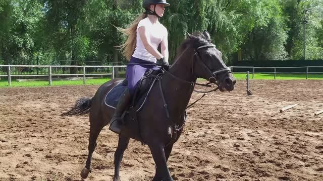 Харбин красавчег или найти точку DJi