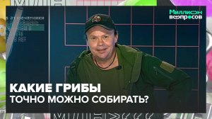 Как ходить в лес по грибы?|Миллион вопросов — Москва 24|Контент