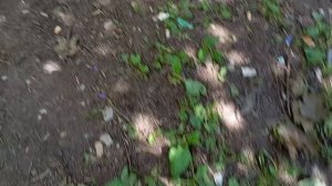 экстремалы часть 1