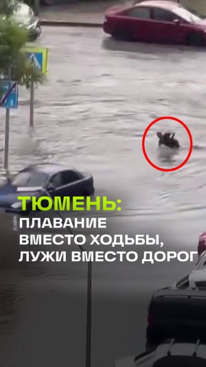 Тюмень или Венеция: город затоплен после мощного ливня
